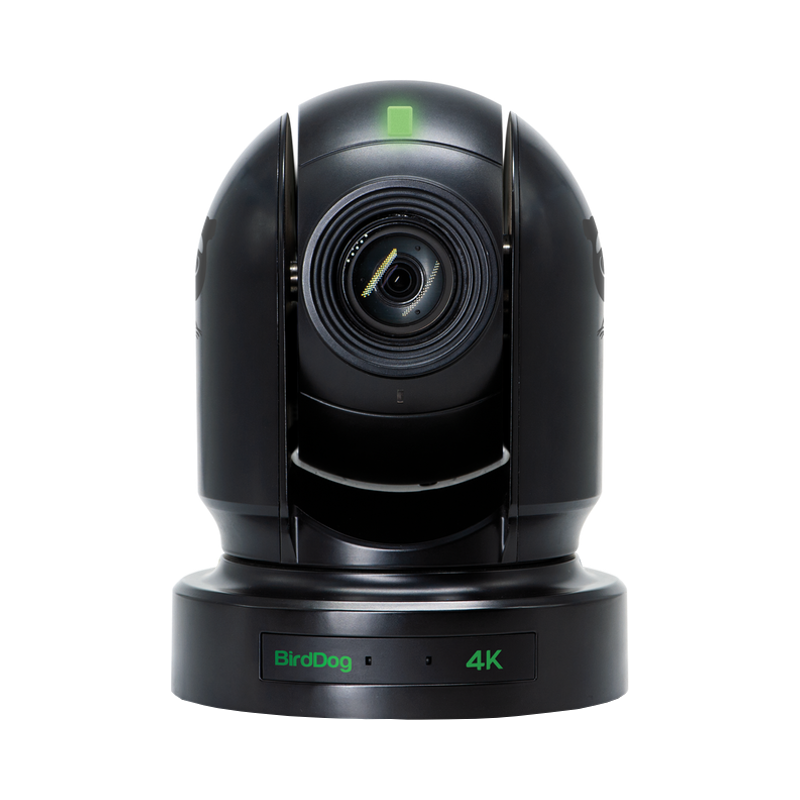 Birddog P4K PTZ Kamera | Streamoptics DE
